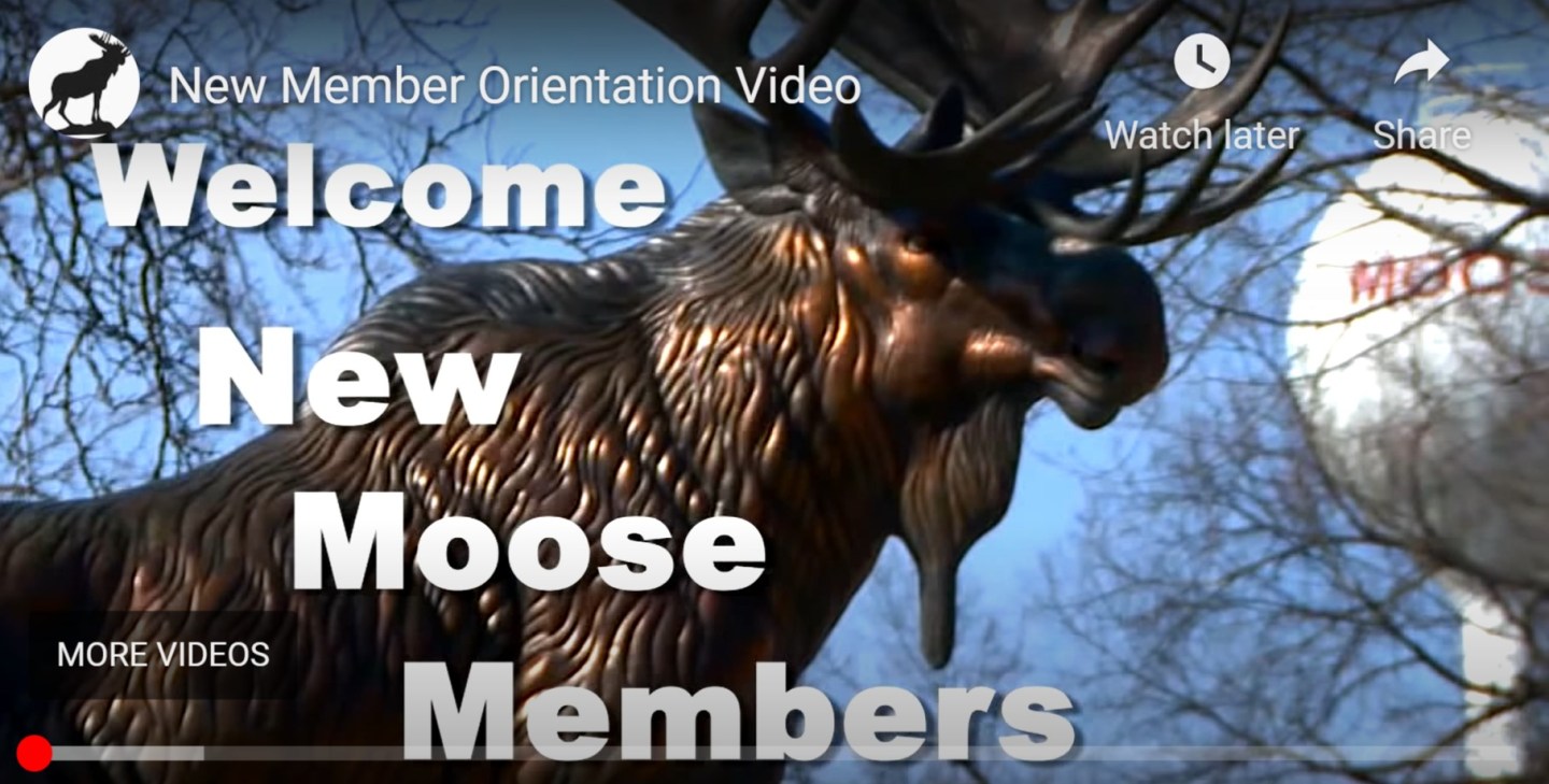 Pay Dues/Membership – Loyal Order of Moose, Downers Grove Lodge 1535